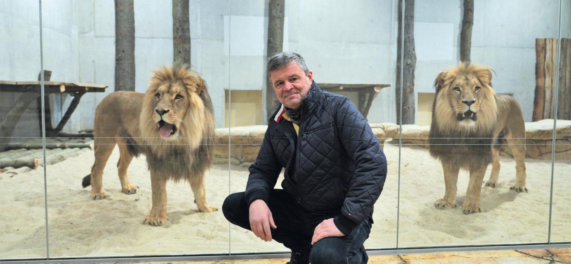 Dyrektor opolskiego ZOO o powrocie dzikich kotów - wywiad | Miasto Opole